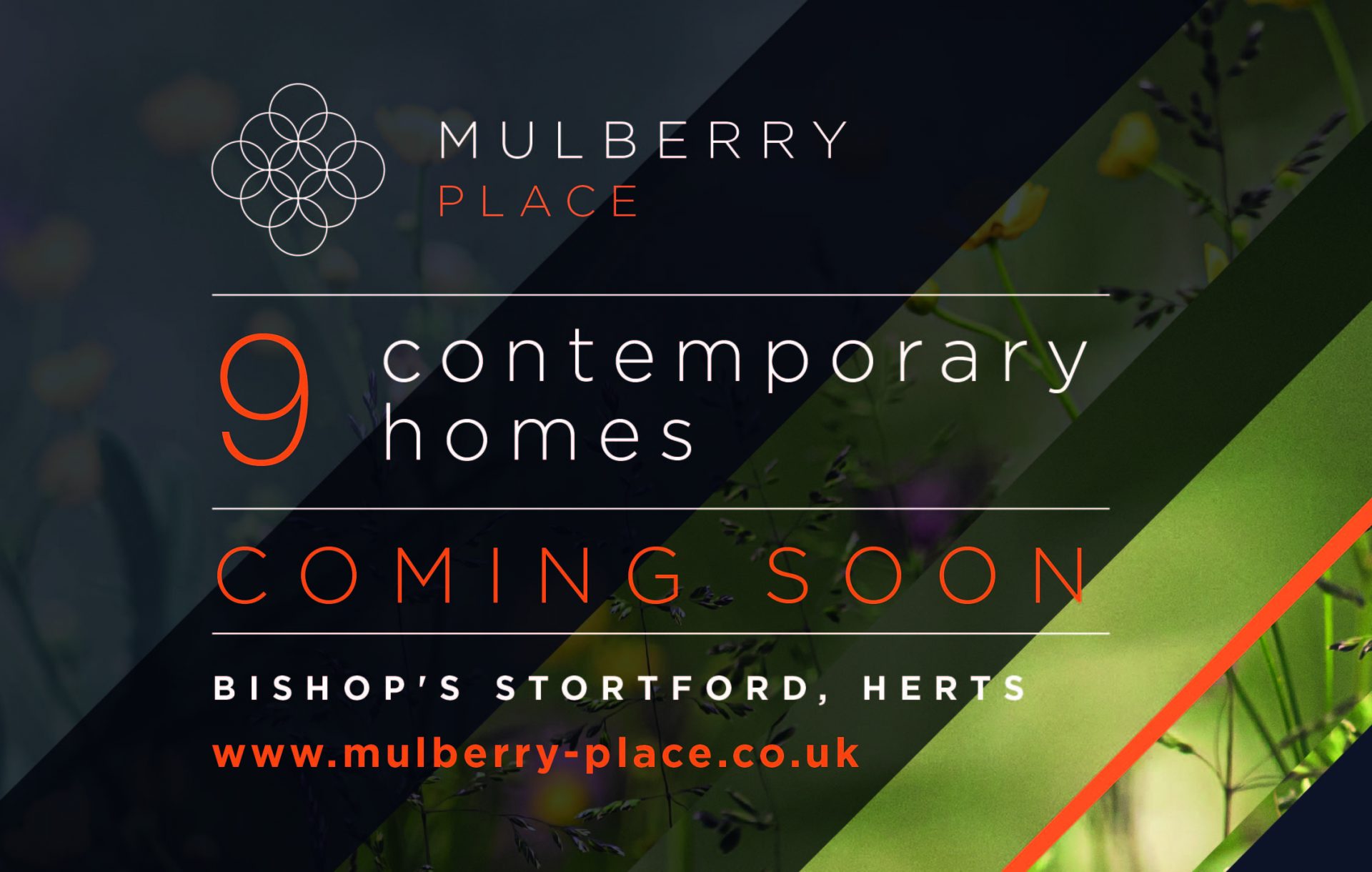Mulberry Place - Xander Homes
